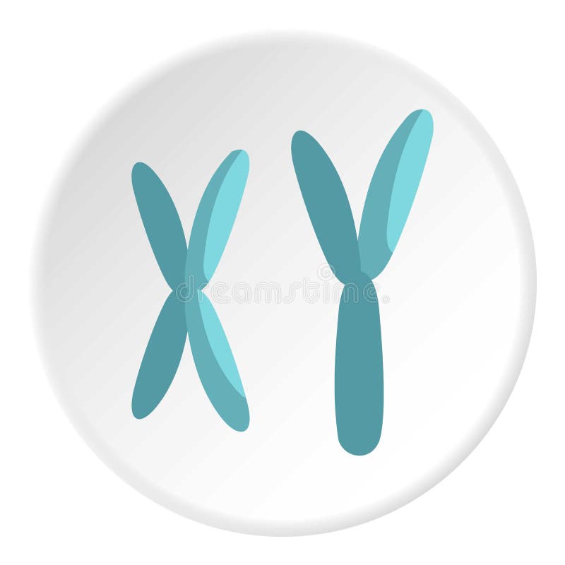 Círculo Del Icono De Los Cromosomas De X Y De Y Ilustración del Vector ...