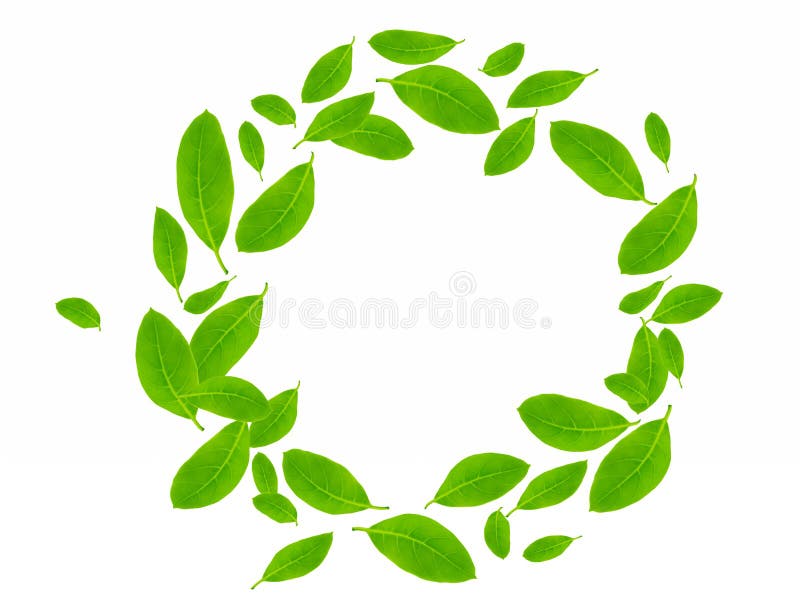 Círculo verde foto de archivo. Imagen de forma, amor - 20030502