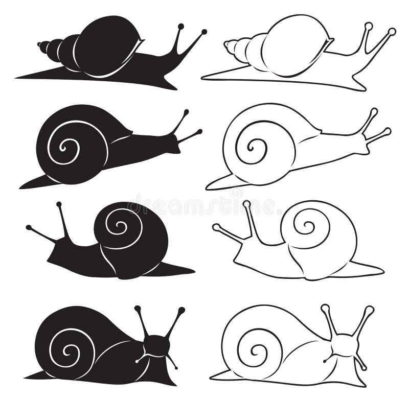 Cóclea ilustración del vector. Ilustración de animal - 26884856