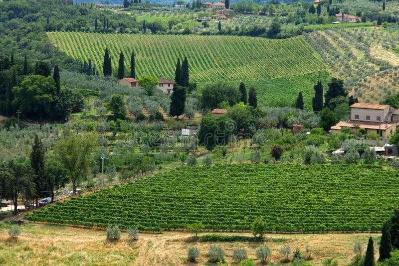 Vignoble De La Toscane En Automne Photo stock - Image du toscane ...