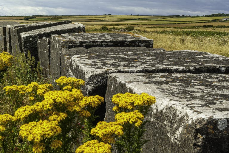 WW2 Anti-tank Defence Lines Stock Image - Image of wales, place: 233025301