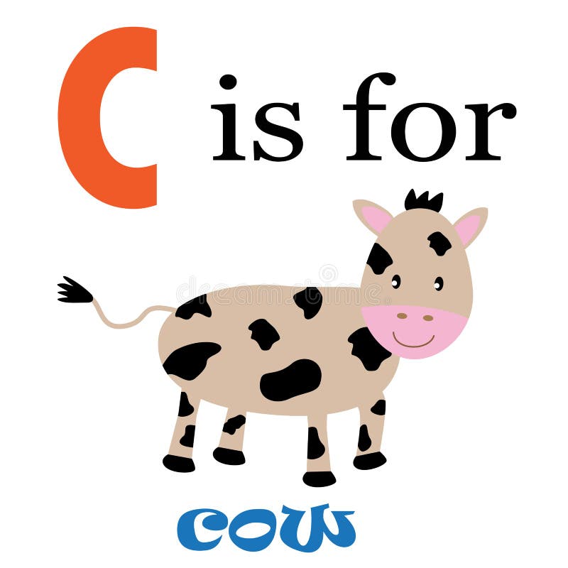 C is for Cow stock vector. Illustration of vector, orange - 41675789