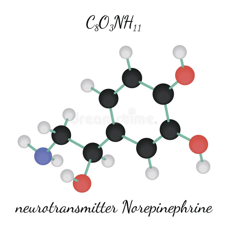 Norepinephrine Molecule Structure Illustration. Stock Illustration ...