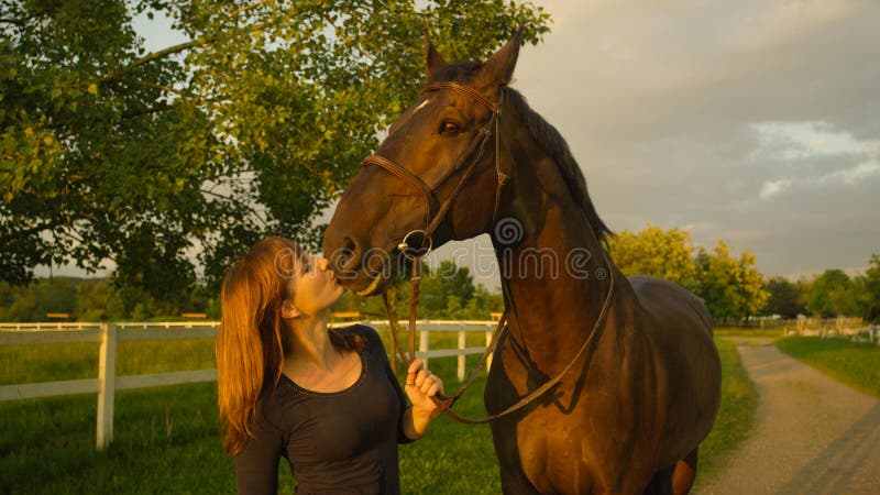 CLOSE UP: Loving Young Woman Kisses Her Majestic Brown Horse on the ...