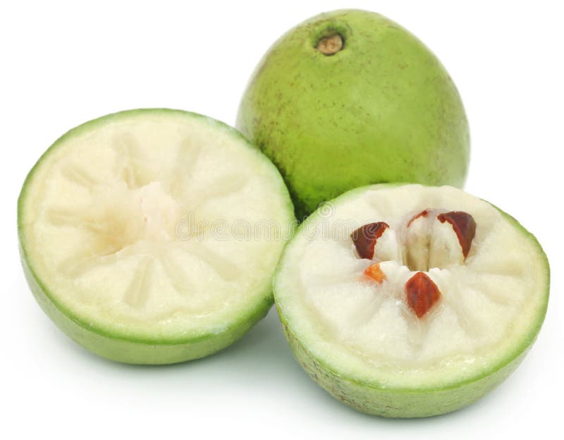 Arbre De Caïmite De Chrysophyllum Sous Le Ciel Bleu Photo stock - Image ...