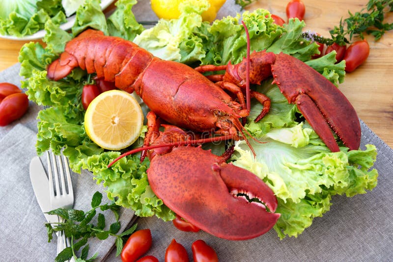 Cały homar na talerzu obraz stock. Obraz złożonej z talerz - 90495443