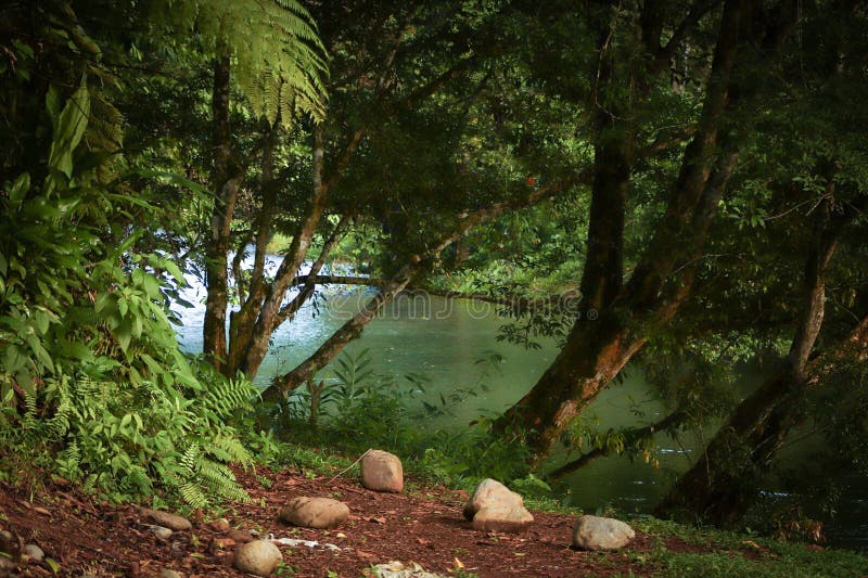 Caño Clarito River in the Ngäbe Bugle Region Stock Image - Image of ...