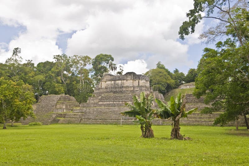 Caana Pyramid at Caracol in Belize Stock Image - Image of belize ...