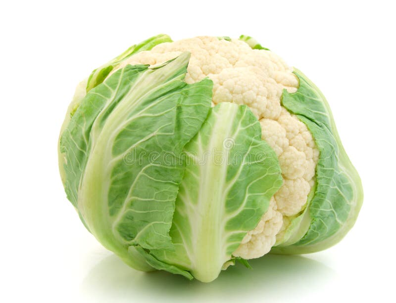 Cabage stock photo. Image of diet, cabbage, tasty, vegetable - 5083450