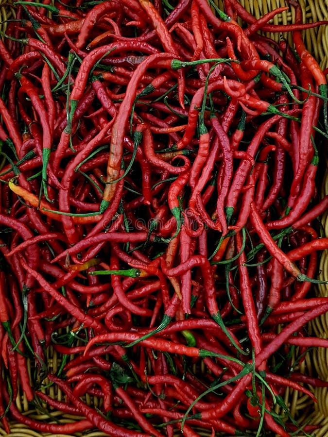 Cabai Merah Keriting or Long Red Cayenne Hot Pepper in a Basket. Stock ...