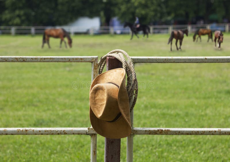 Sombrero De Vaquero Y Lazo En El Rancho De American De La Cerca Imagen ...