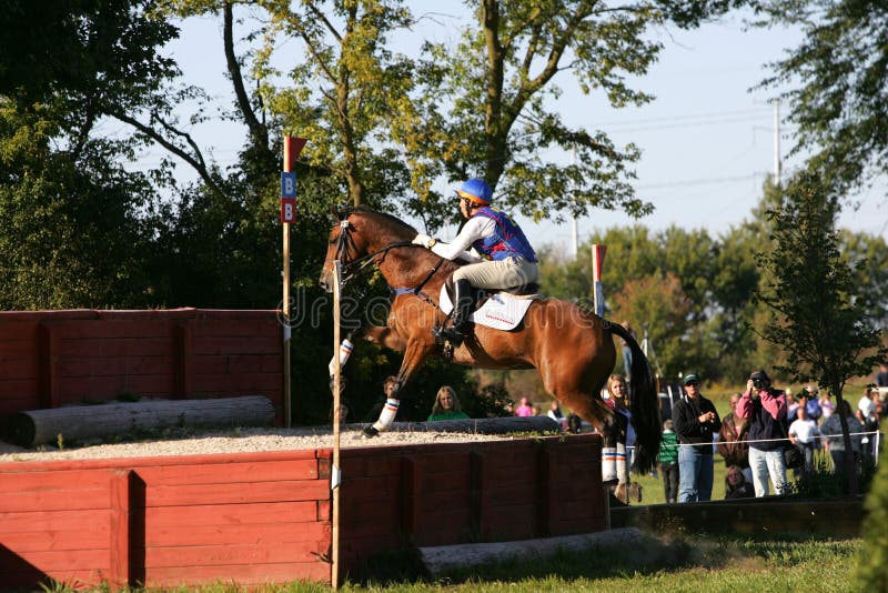 Caballo Que Corre En Una Competencia Imagen de archivo editorial ...