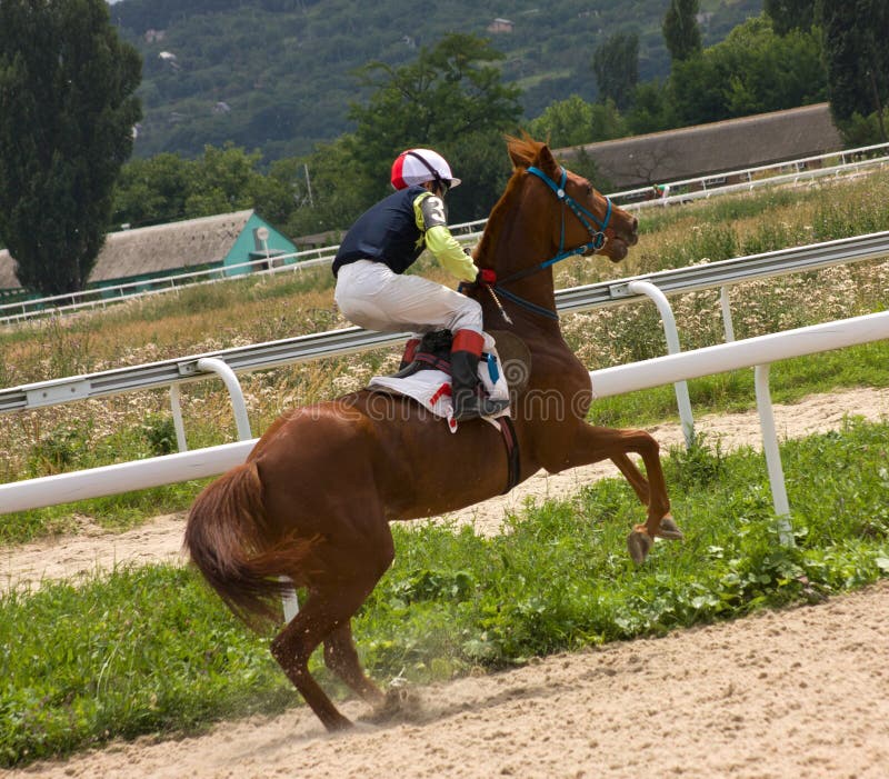 Caballo flaco imagen de archivo. Imagen de domesticado - 64652731