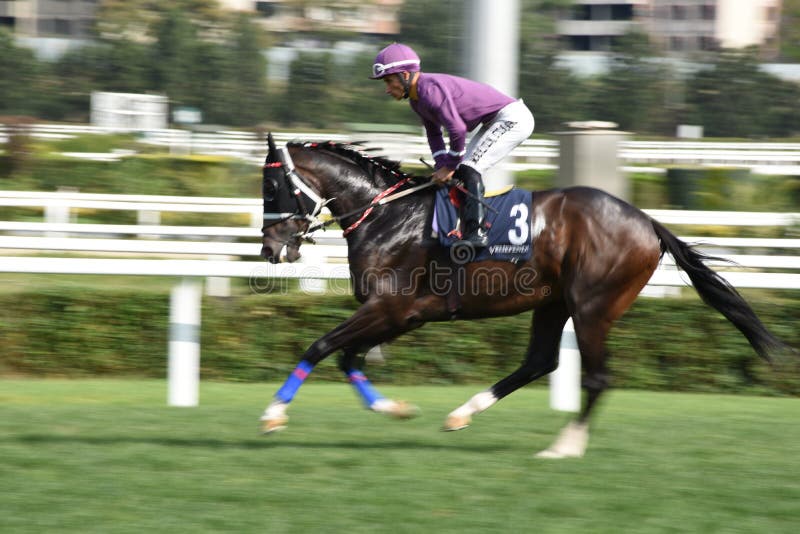 Caballo Racing imagen editorial. Imagen de caballo, final - 99742235