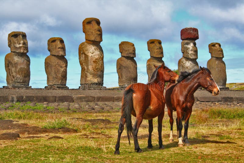Caballos Salvajes En La Isla De Pascua Imagen de archivo - Imagen de ...