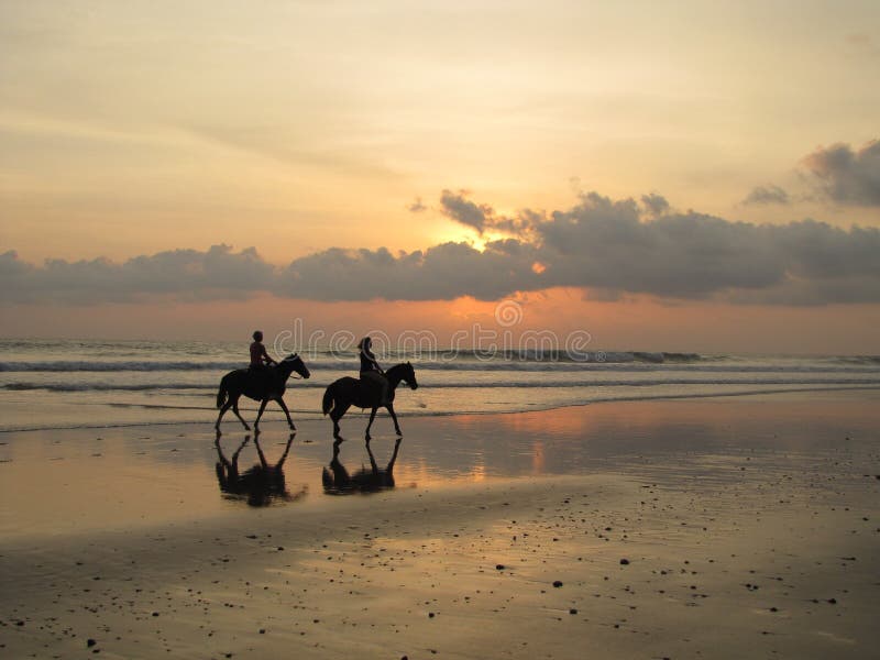 Caballos En La Playa De La Puesta Del Sol Imagen de archivo - Imagen de ...