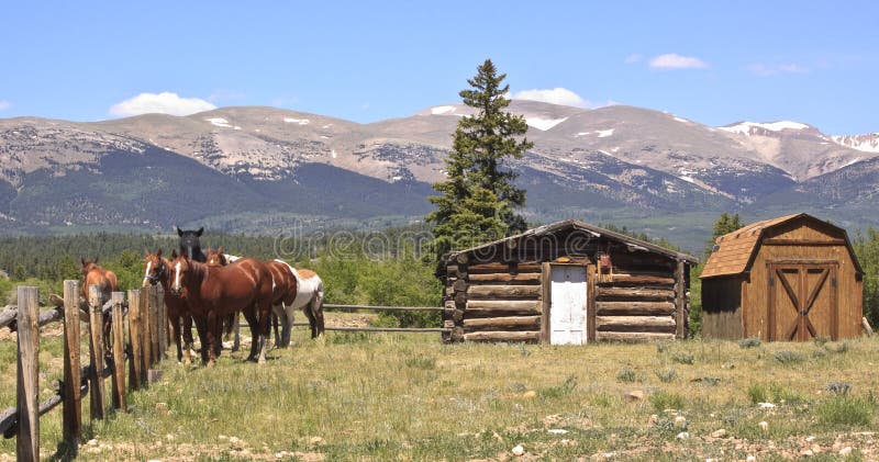 Caballos en rancho imagen de archivo. Imagen de montañas - 17621201