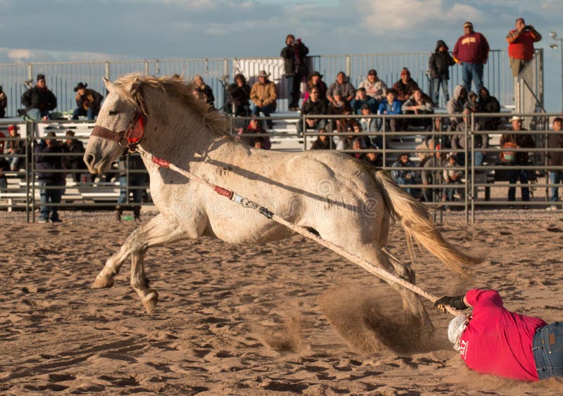 Caballos Salvajes En El Rodeo Profesional Fotografía editorial - Imagen ...