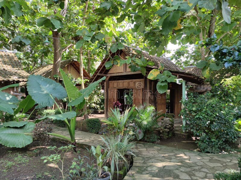 Cabana antiga do quintal imagem de stock. Imagem de madeira - 211317007