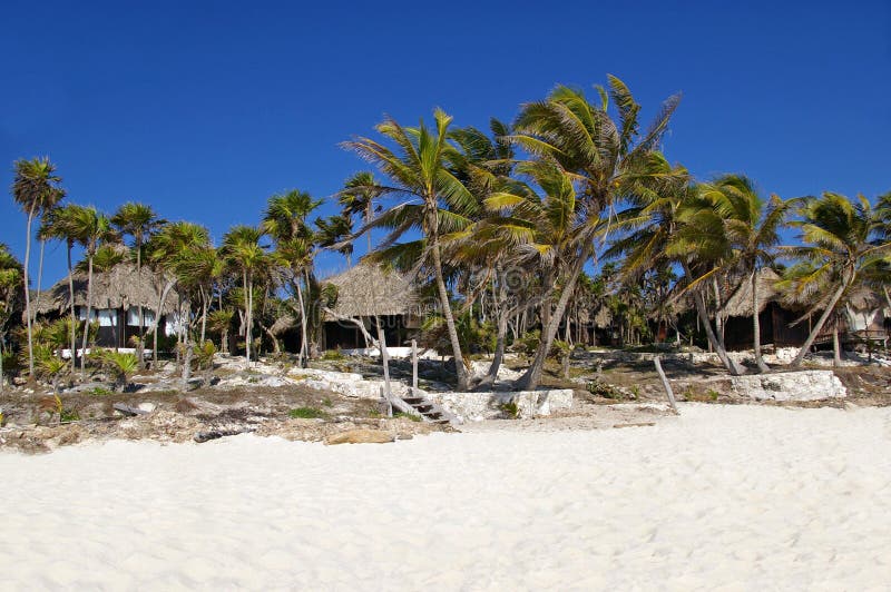 Trobical beach in Zanzibar stock photo. Image of tanzania - 25185078