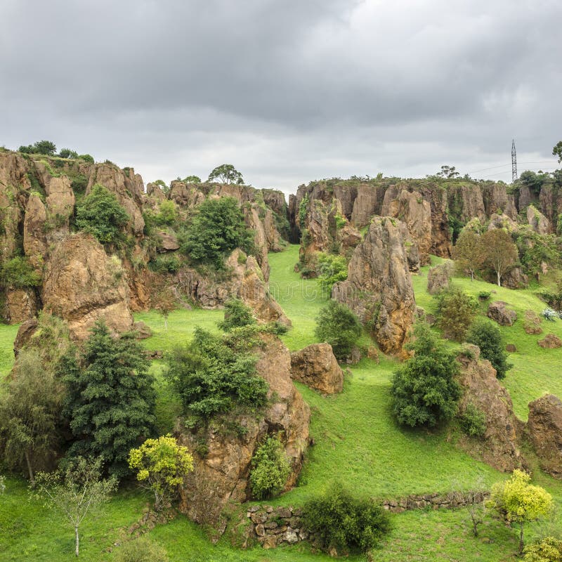 Cabarceno Del Parco Naturale Fotografia Stock - Immagine di bellezza ...
