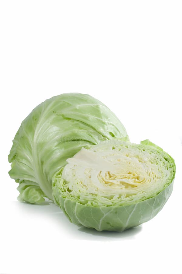 Cabbage stock photo. Image of green, flora, yield, plant - 103174026