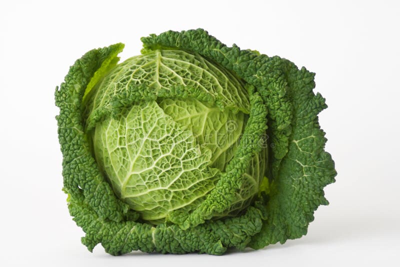 Cabbage stock image. Image of natural, botany, food, vitamin - 49300661