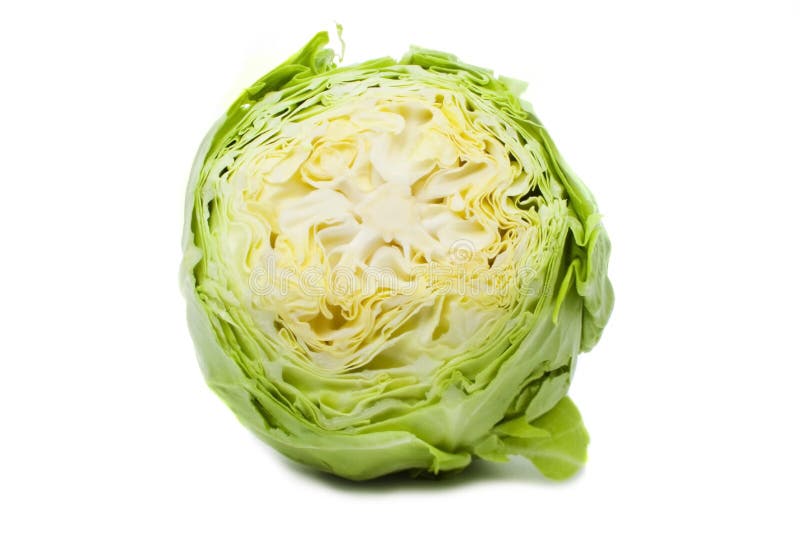 Cabbage isolated stock image. Image of green, ripe, vegetarian - 20457015