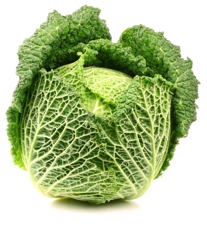 Head of Cabbage stock photo. Image of cabbagehead, cabbage - 17655866