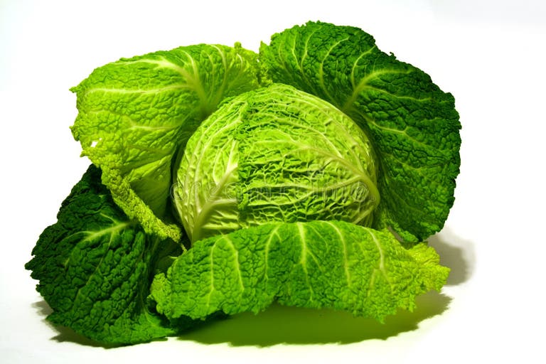 Cabbage stock image. Image of agricultural, botany, diet - 1630585