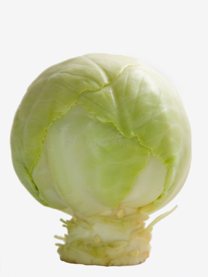 473 Cabbage Profile Stock Photos - Free & Royalty-Free Stock Photos ...