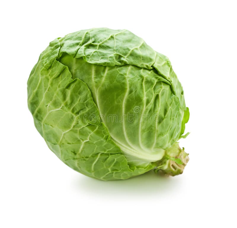 Cabbage stock image. Image of color, fruits, cabbage - 30591517
