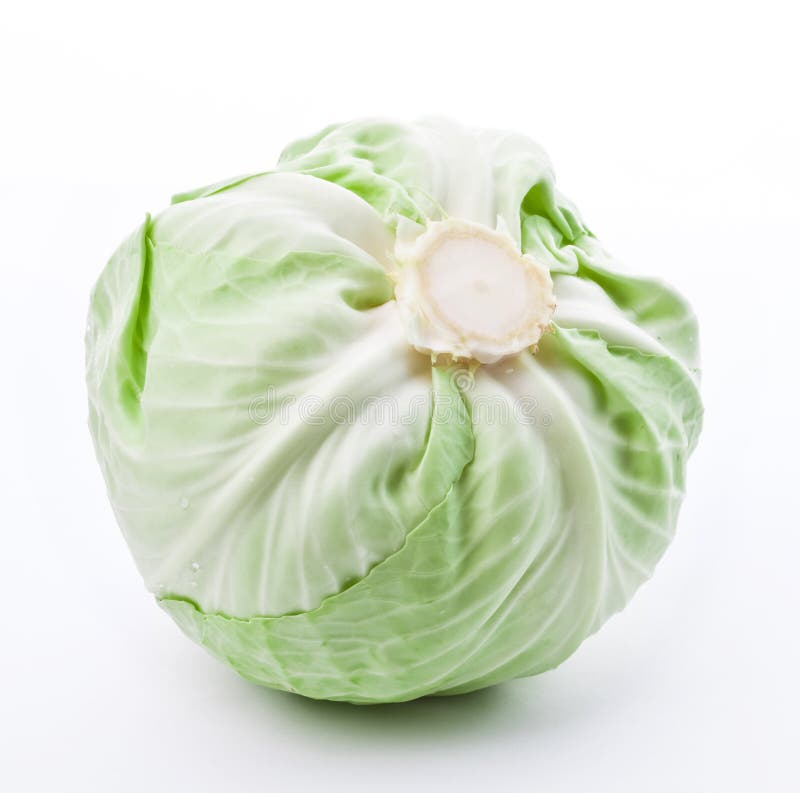Cabbage stock photo. Image of isolated, garden, close - 42940512