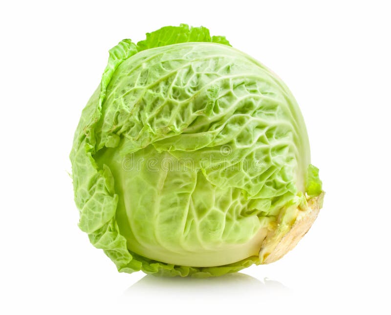 Cabbage stock photo. Image of lettuce, fresh, ingredient - 19608230