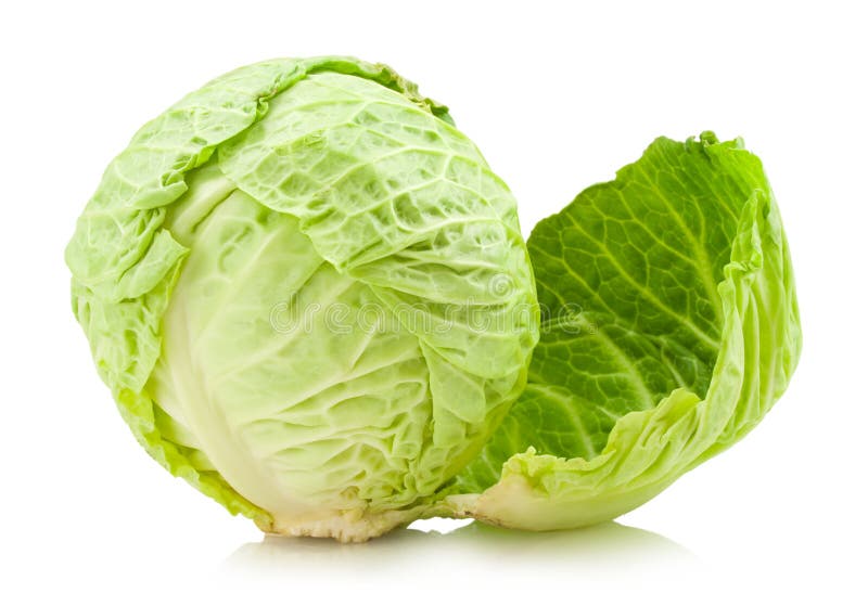 Cabbage stock photo. Image of lettuce, fresh, ingredient - 19608230