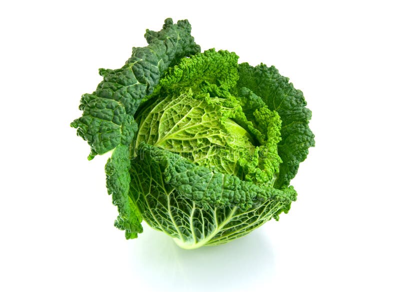 Cabbage stock image. Image of yield, cole, leaves, autumn - 23367113
