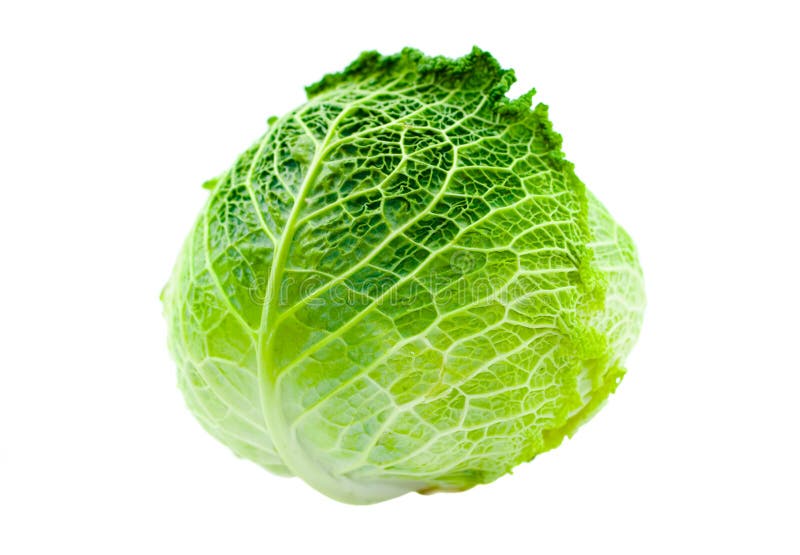 Cabbage stock image. Image of eating, nature, organic - 6844137