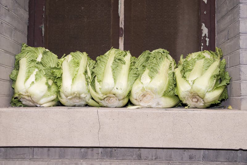 Cabbage stock image. Image of store, style, chinese, beijing - 7377495
