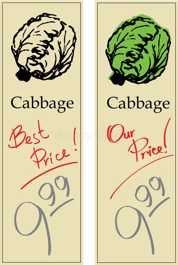 Cabbage stock vector. Illustration of note, aged, market - 7758316
