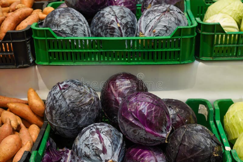 Cabbage in Boxes at the Grocery Store Stock Image - Image of grocery ...
