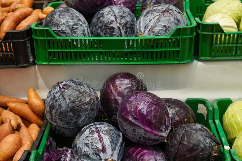 Cabbage in Boxes at the Grocery Store Stock Image - Image of grocery ...