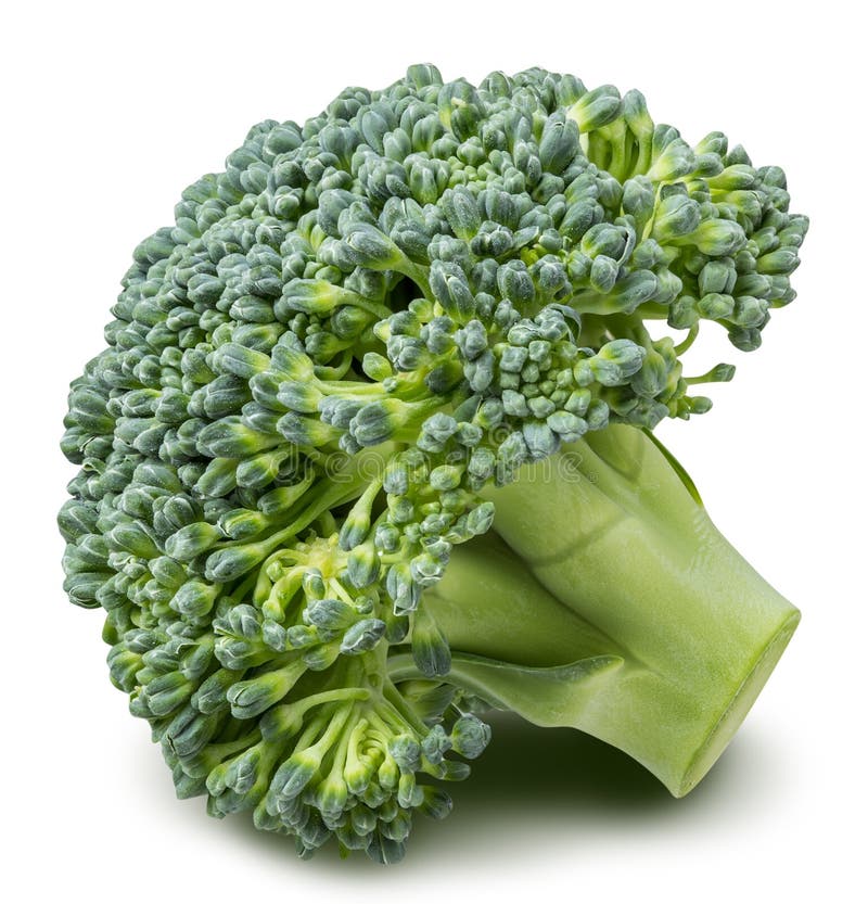 Broccoli Isolated on White Background. Clipping Path Stock Photo ...
