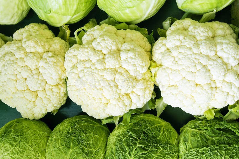 Cabbage and cauliflower stock photo. Image of comida, hortalizas - 6879604