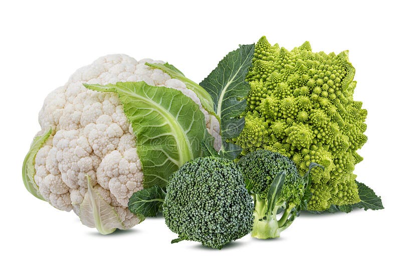 Cabbage Collection Isolated on White Stock Image - Image of white ...