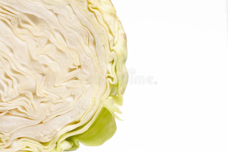 Cabbage Crunchy Swing Half Sliced with Macro Left Side View Stock Image ...