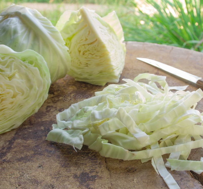 Cabbage stock image. Image of leaf, kitchen, food, agriculture - 51819261