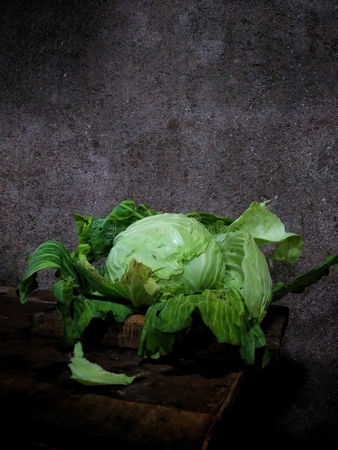 Cabbage on a Gray Background Stock Image - Image of yellow, leaf: 206358921