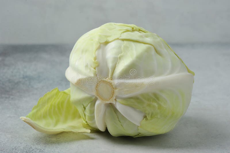 Cabbage on Gray Background - Cabbage Head and Cabbage Leaf Stock Photo ...