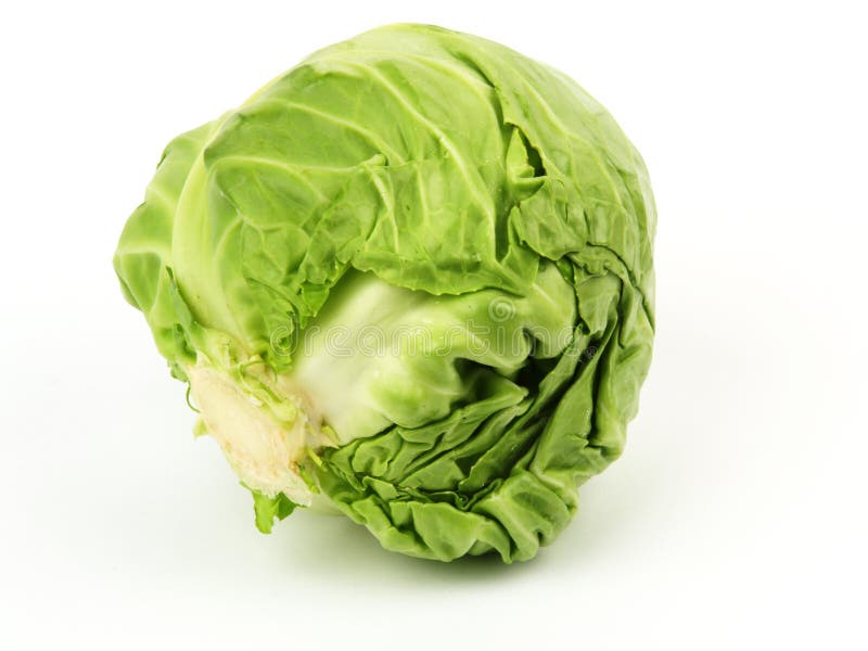 Cabbage and Green Vegetable Collection Stock Image - Image of celery ...