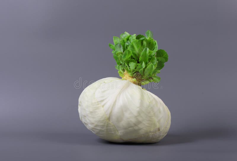 Cabbage on a Grey Background Stock Image - Image of seasonings, cuisine ...